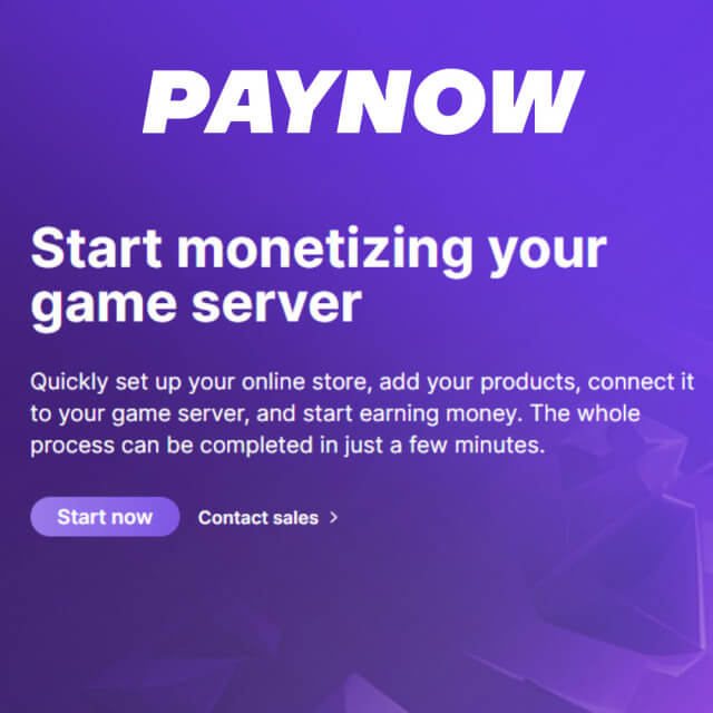PayNow.gg Store - Lone Design